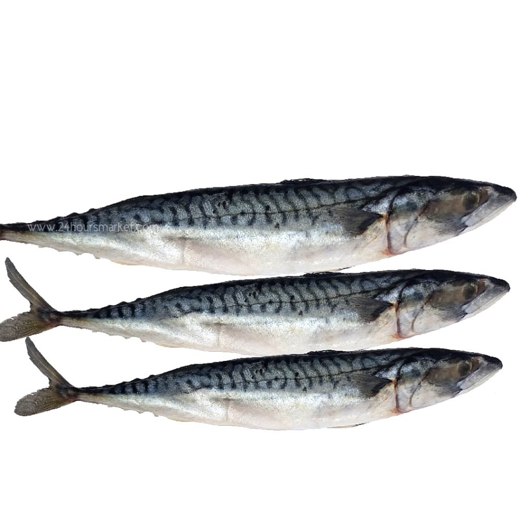 Frozen Titus Fish – carton 20kg • 24 Hours Market | Lagos, Nigeria