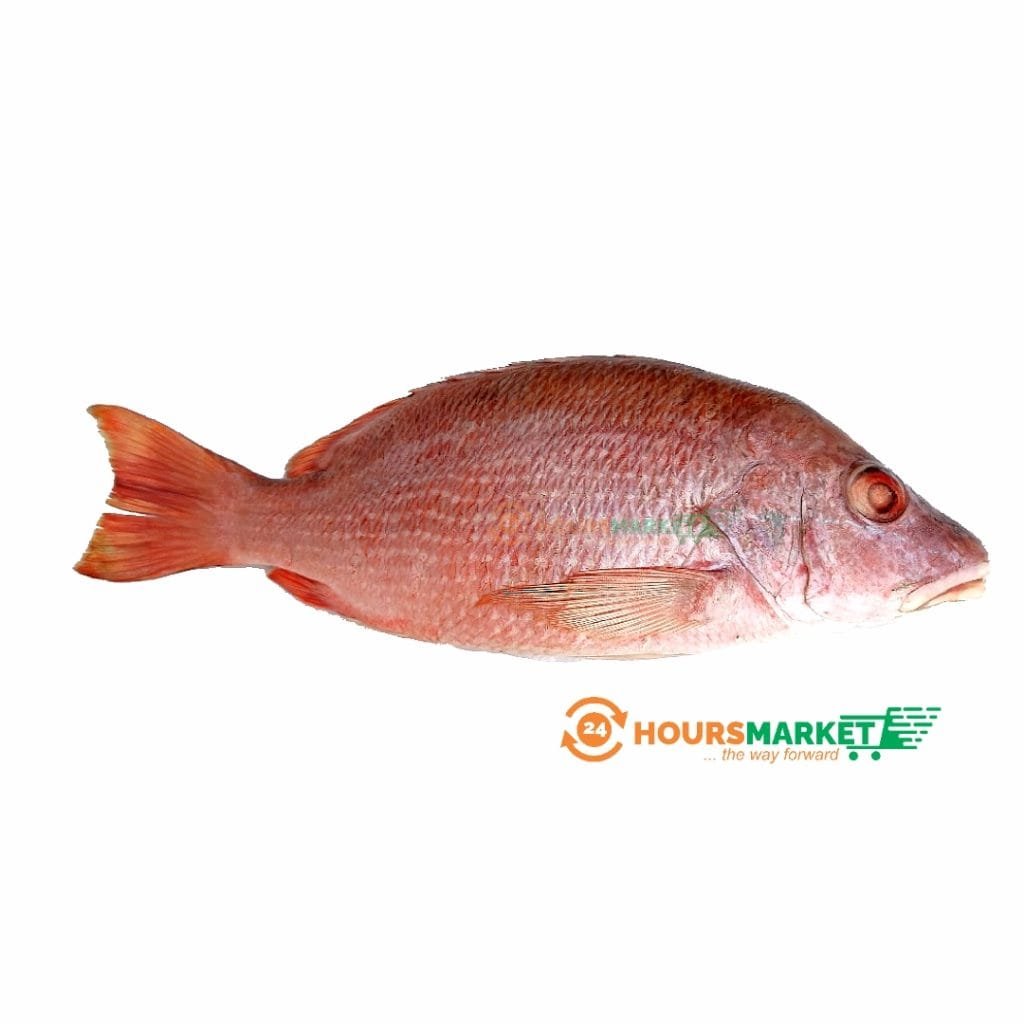 FRESH Red Snapper Fish -1piece • 24 Hours Market | Lagos, Nigeria